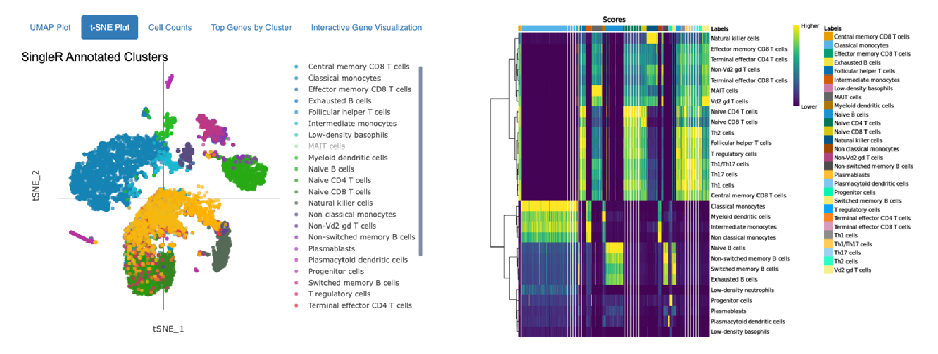 Use Case Cell Type Identification With G Nome®